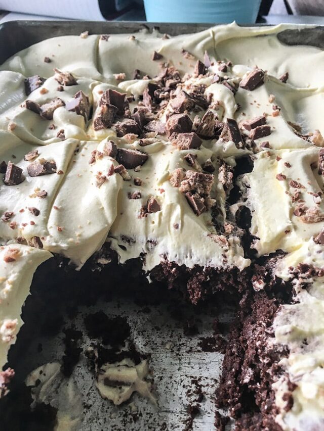 20 Decadent Weight Watchers Cake Recipes with Low Points